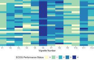 How do clinicians rate patient’s performance status using the ECOG ...