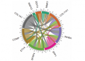 Pilot Nanostring PanCancer pathway analysis of colon adenocarcinoma in ...