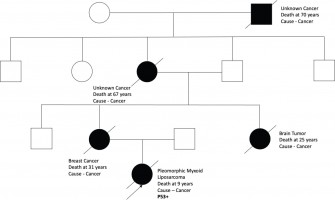 Lessons learnt from the clinico-genomic profiling of families with Li ...